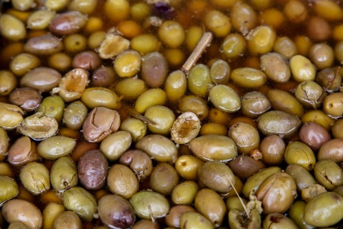Olives: Harvesting & Fermentation