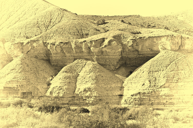 Why Reclaiming the Desert is so Important