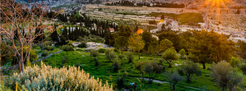 How Israel Is Conserving Water and Improving the Environment - Sponsor ...