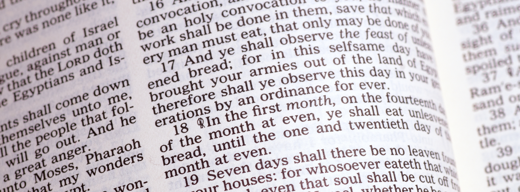 The History of Passover: A Forbidden Treasure - Sponsor an Olive Tree ...