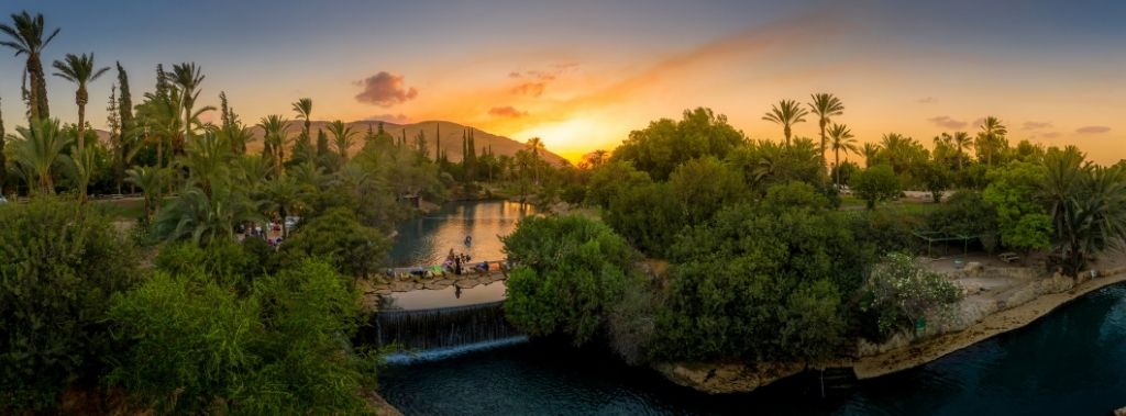 The Land of Israel | 100 Years Ago and Today - Sponsor an Olive Tree in ...
